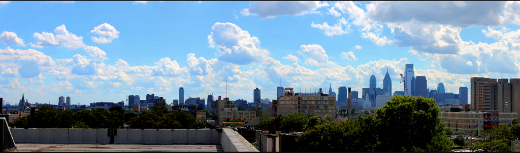 Fly Eagles Fly | Darby Wire Mesh