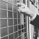 Wire Mesh - Lock Fence Meets Lock Crimp | Darby Wire Mesh