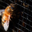 Darby Wire Mesh | Darby Wire Mesh